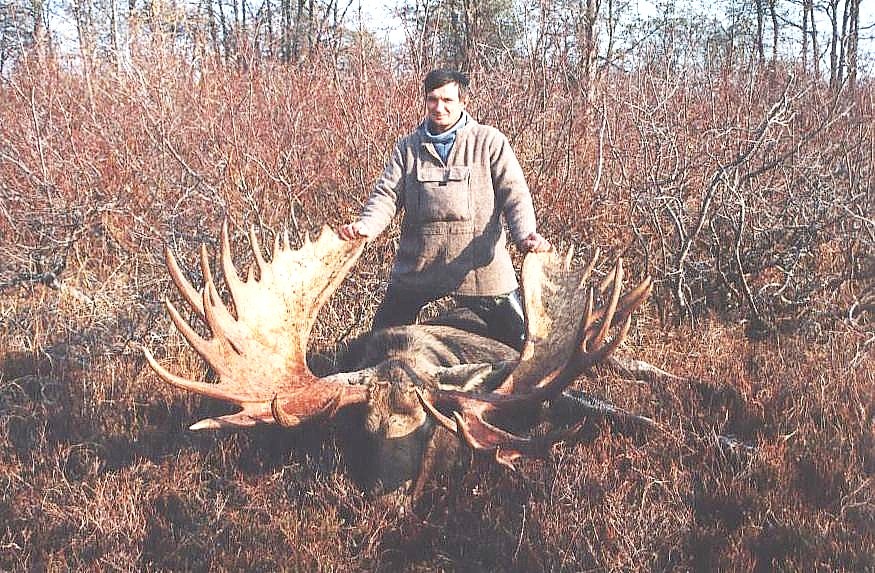 Moose trophy gallery