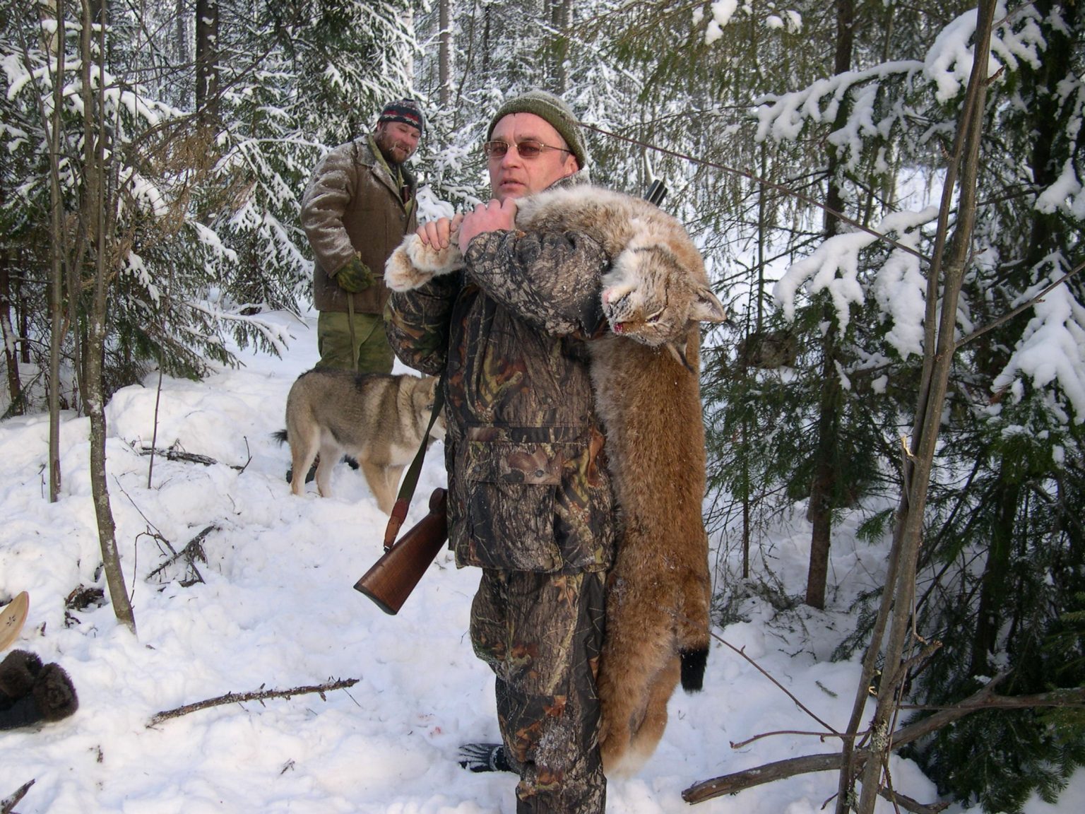 Guided Lynx Hunting in Russia with Sergei Shushunov